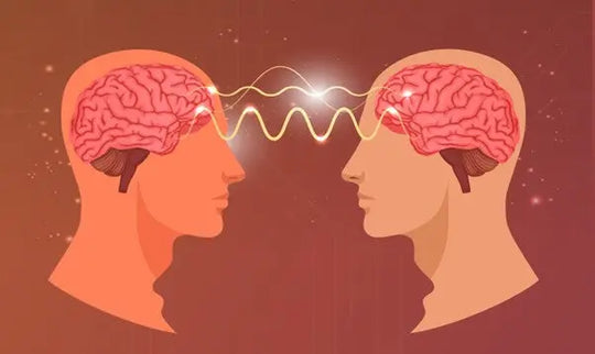 The Neuroscience of Connection: Why Moving in Sync Brings us Closer – Adapt