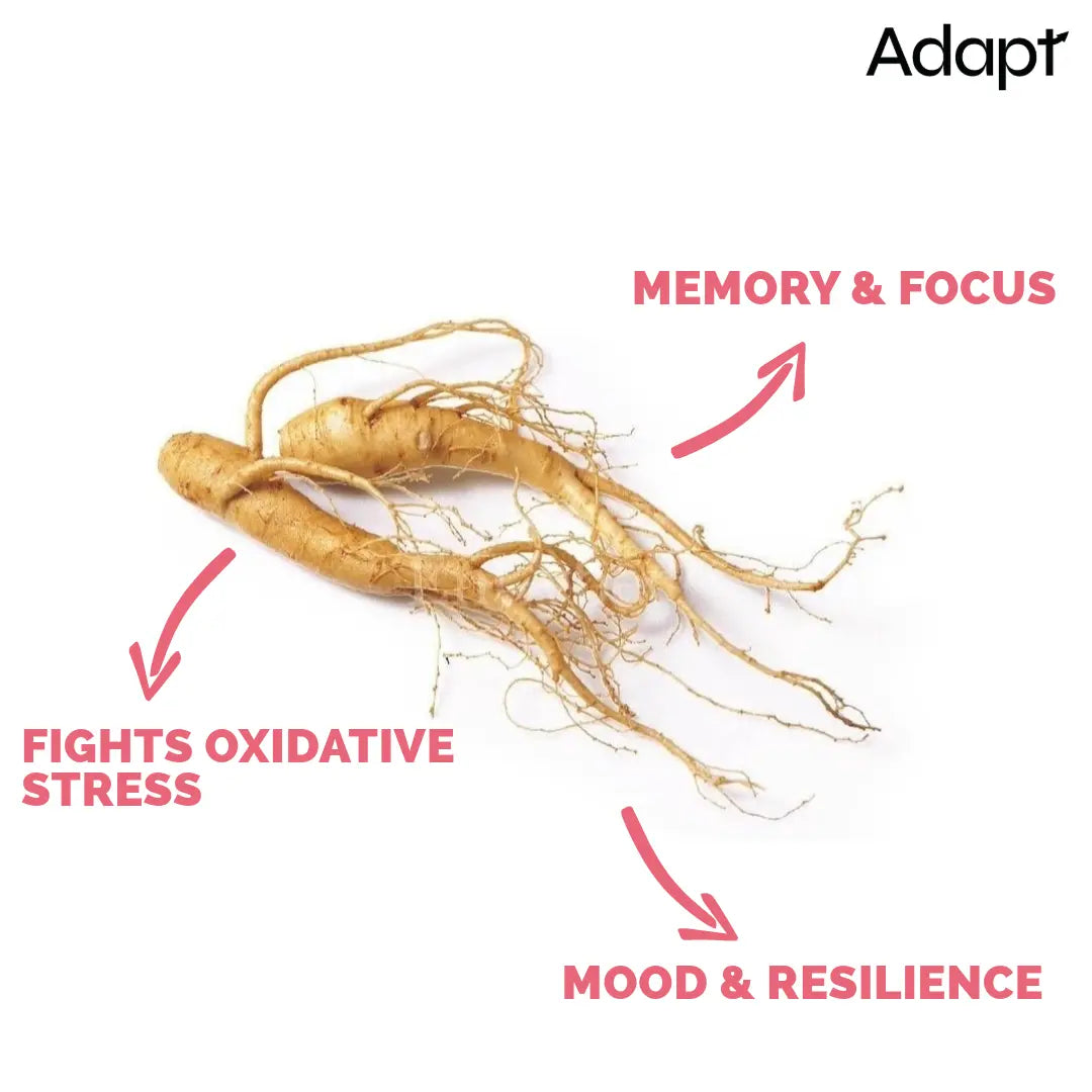 Ginseng: An Ancient Herb for Modern Brain Health - Adapt