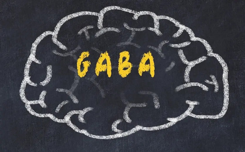 Understanding GABA Levels: The Brain's Natural Relax Mechanism - Adapt